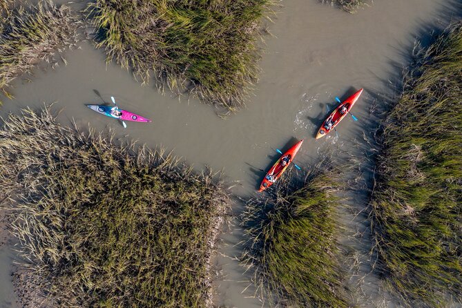 Dolphin Kayak Tour on Folly Beach - What to Expect: From Ground School to Gliding Through the Water