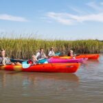 Dolphin Kayak Tour on Folly Beach - Wildlife Encounters and Scenic Highlights