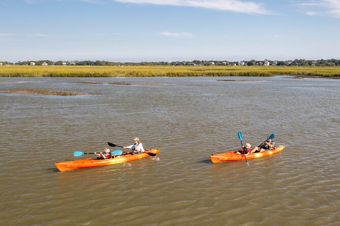 Dolphin Kayak Tour on Folly Beach - Value for Money: Is It Worth the Price?