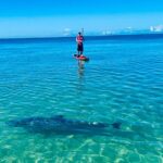 Dolphin, Manatee and Sea Turtle Adventure Tour of Bonita Springs - Practical Details and Tips