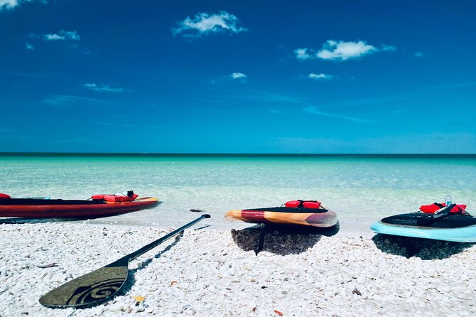 Dolphin, Manatee and Sea Turtle Adventure Tour of Bonita Springs - Who It’s Best For