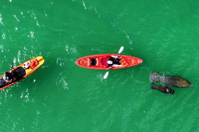 Dolphin, Manatee and Sea Turtle Adventure Tour of Bonita Springs - FAQ