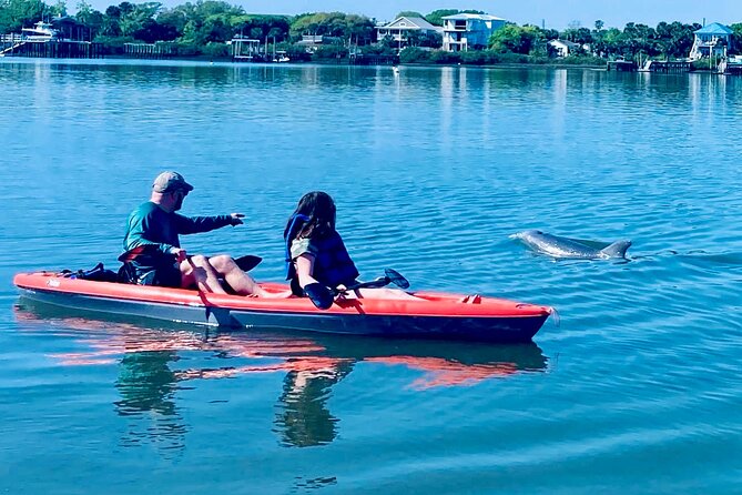 Dolphin, Manatee and Sea Turtle Kayak Adventure - An Overview of the Tour Experience