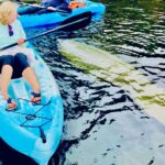 Dolphin, Manatee and Sea Turtle Kayak Adventure - What to Expect on the Tour