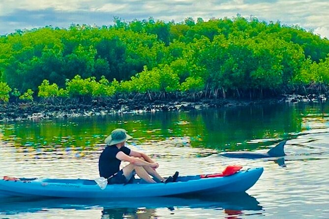Dolphin, Manatee and Sea Turtle Kayak Adventure - Why This Tour Is a Great Choice