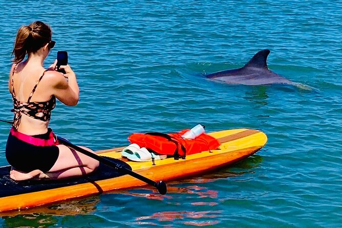 Dolphin, Manatee and Sea Turtle Kayak Adventure - Frequently Asked Questions