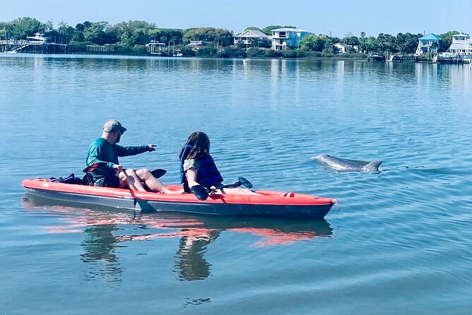 Dolphin, Manatee and SeaTurtle SUP Adventure Tour of St Augustine - Discover the Wildlife of St. Augustine with the Dolphin, Manatee, and Sea Turtle SUP Adventure