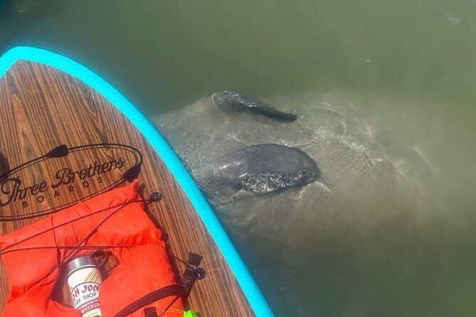 Dolphin, Manatee and SeaTurtle SUP Adventure Tour of St Augustine - Evaluating the Value: Is It Worth the Cost?