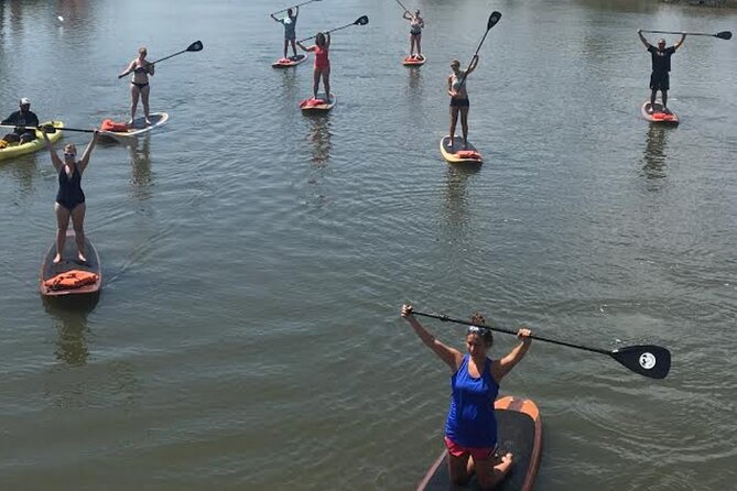 Dolphin, Manatee and SeaTurtle SUP Adventure Tour of St Augustine - The Sum Up
