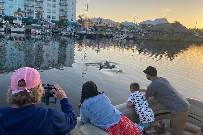 Dolphin/Manatee Pontoon Boat Tour with Local Expert - Key Points