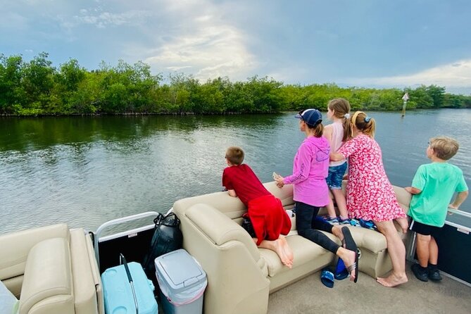 Dolphin/Manatee Pontoon Boat Tour with Local Expert - A Deep Dive into the Experience