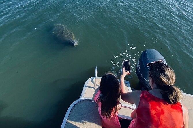 Dolphin/Manatee Pontoon Boat Tour with Local Expert - The Sum Up