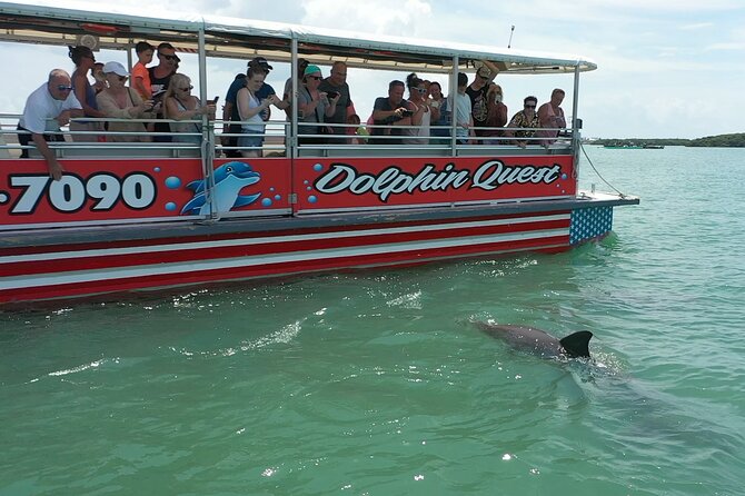 Dolphin Quest - Sightseeing/Eco Cruise, John's Pass, Madeira Beach, FL - Introduction