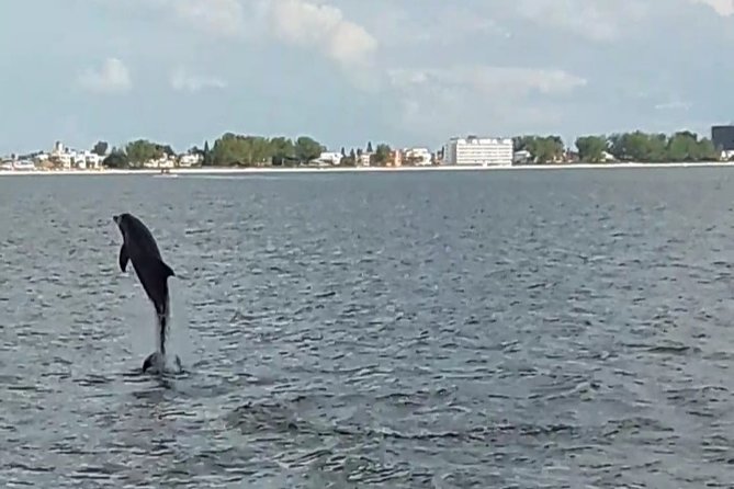 Dolphin Quest - Sightseeing/Eco Cruise, John's Pass, Madeira Beach, FL - Key Points