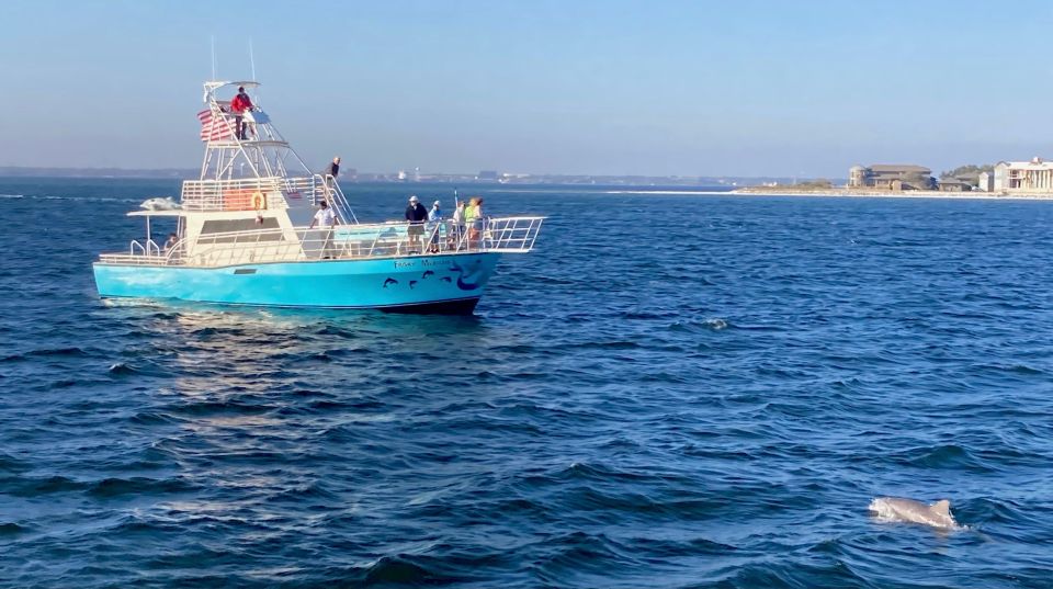 Dolphin & Scenic Bay Sightseeing Cruise Up to 49, Pensacola - Exploring the Details of the Dolphin & Scenic Bay Cruise