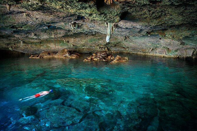Dolphin, Sea Cave, Captain Cook, Kealakekua Bay Reef Snorkeling - Dolphin, Sea Cave, Captain Cook, Kealakekua Bay Reef Snorkeling Review
