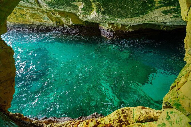Dolphin, Sea Cave, Captain Cook, Kealakekua Bay Reef Snorkeling - Who is This Tour Best For?