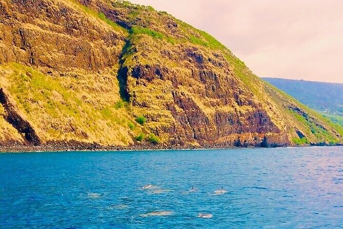 Dolphin, Sea Cave & Captain Cook Snorkel Combo in Kealakekua Bay - Practical Details and What to Know