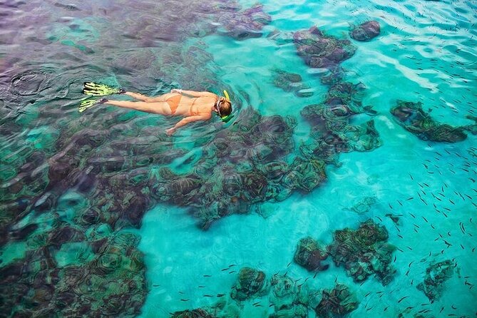 Dolphin, Sea Cave & Captain Cook Snorkel Combo in Kealakekua Bay - Final Thoughts: Who Should Book This?