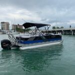 Dolphin Shelling Snorkeling Cruise in Tampa - Who Is This Tour Best For?