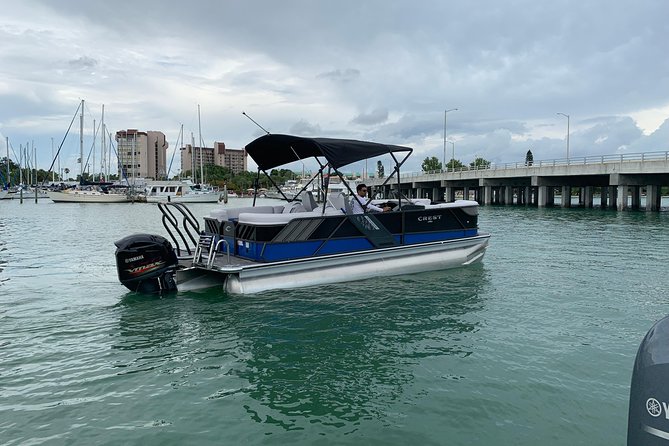 Dolphin Shelling Snorkeling Cruise in Tampa - Who Is This Tour Best For?