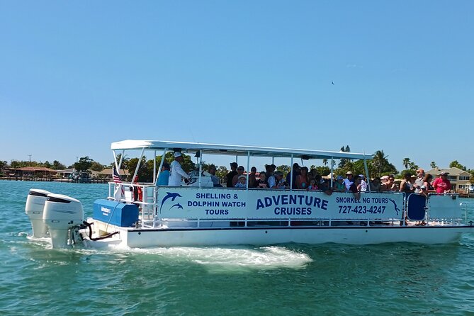 Dolphin /Shelling/Snorkeling tours Private Charters - Overview of the Tour Experience