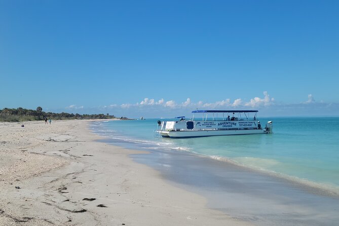 Dolphin /Shelling/Snorkeling tours Private Charters - Itinerary Breakdown