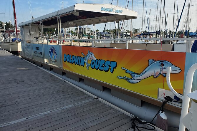 Dolphin Tour in St. Pete Beach - What the Reviews Say