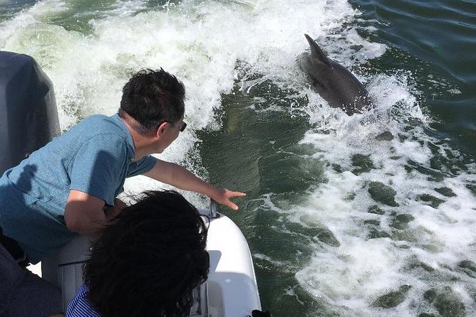 Dolphin Tours - Fort Myers Beach / Naples - Practical Details & Tips