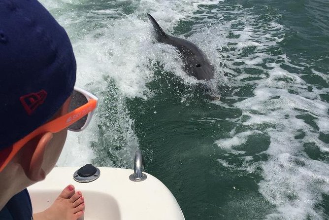 Dolphin Tours - Fort Myers Beach / Naples - FAQ