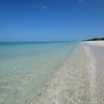 Dolphin Watch/Eco Cruise - Who Will Enjoy This?