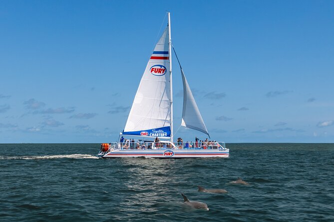 Dolphin Watch & Harbor Tour in Historical St. Augustine - What to Expect From This Harbor & Dolphin Tour