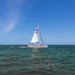 Dolphin Watch & Harbor Tour in Historical St. Augustine - The Experience on Board