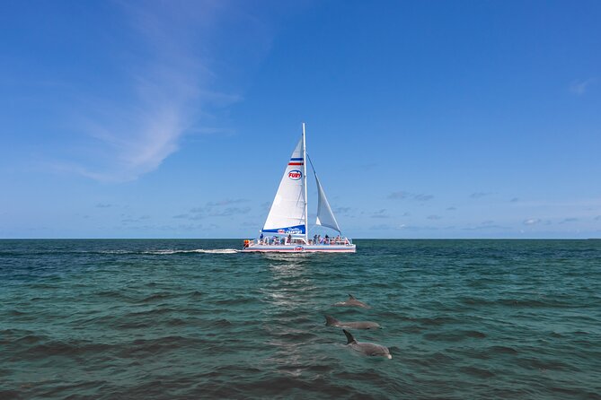 Dolphin Watch & Harbor Tour in Historical St. Augustine - The Experience on Board