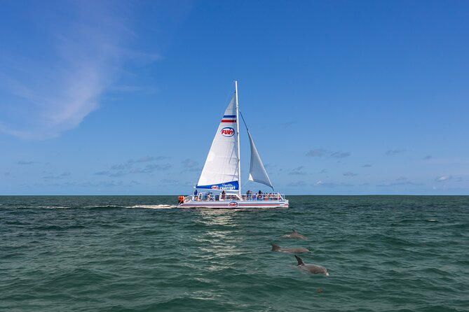 Dolphin Watch & Harbor Tour in Historical St. Augustine - The Group Size & Booking Practicalities