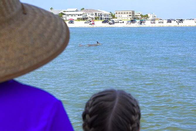 Dolphin Watch & Harbor Tour in Historical St. Augustine - Authentic Insights from Reviewers