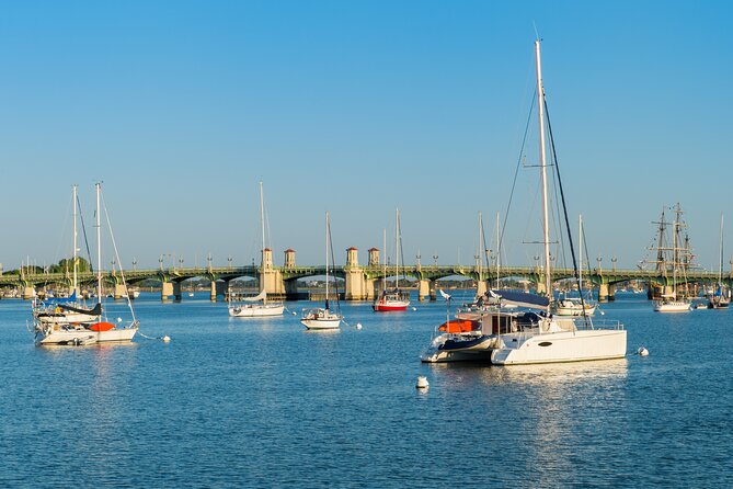 Dolphin Watch & Harbor Tour in Historical St. Augustine - Who Will Love This Tour?