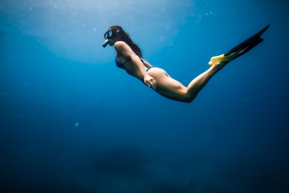 Dolphin Watch Snorkel and BBQ in Kona, Big Island - What the Reviews Say