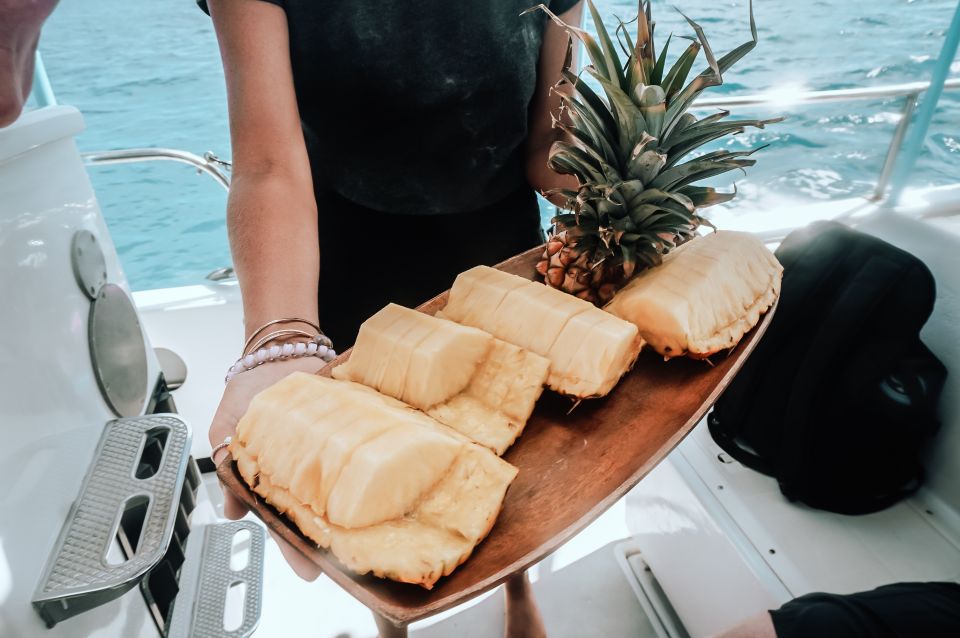 Dolphin Watch Snorkel and BBQ in Kona, Big Island - The Value and Who It’s Best For