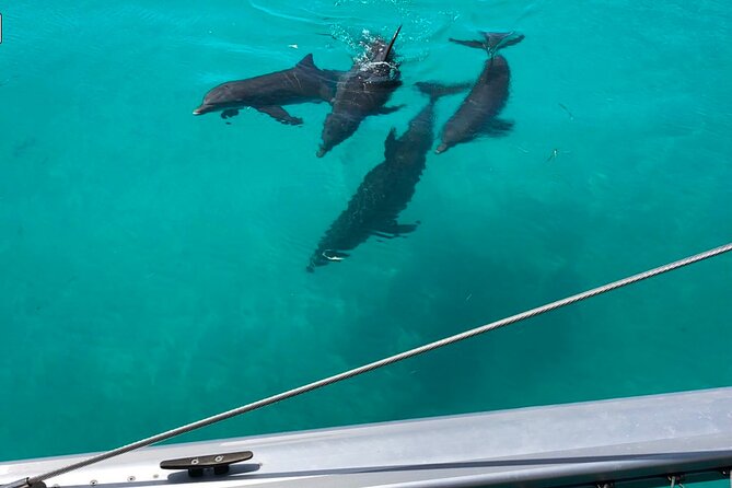 Dolphin Watch + Sunset Sail with Honest Eco - The Experience in Detail