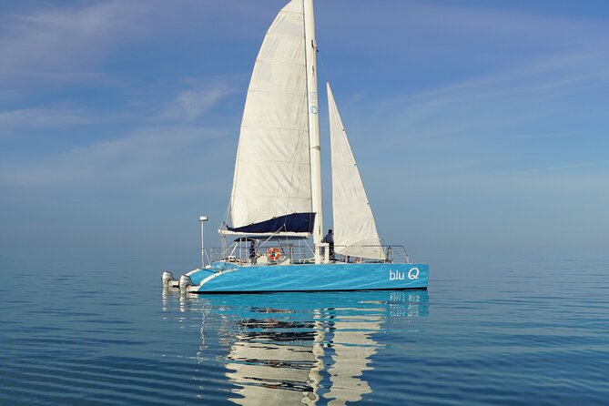 Dolphin Watch + Sunset Sail with Honest Eco - Practical Details and Tips