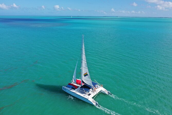 Dolphin Watch + Sunset Sail with Honest Eco - Authentic Insights from Reviewers