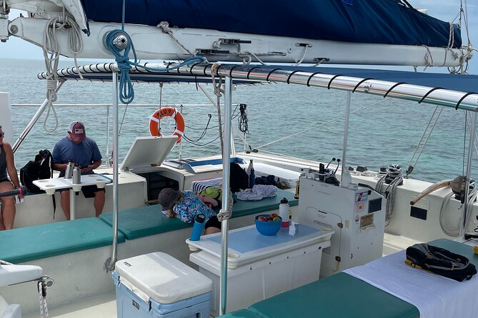 Dolphin Watch + Sunset Sail with Honest Eco - Who Will Love This Tour?