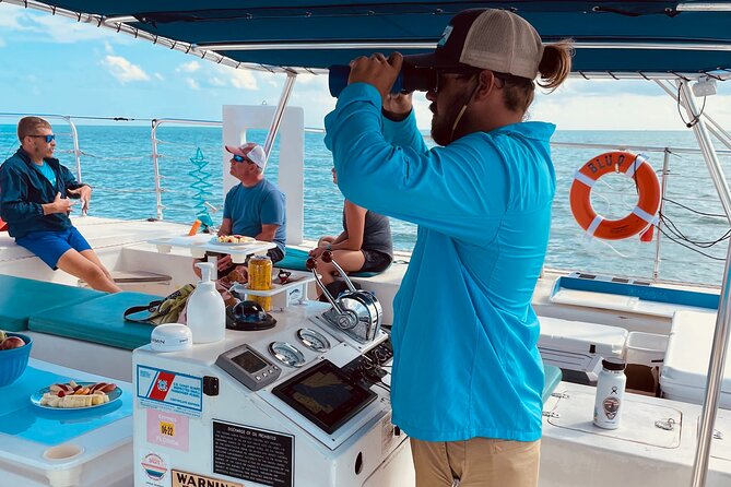 Dolphin Watch + Sunset Sail with Honest Eco - FAQ