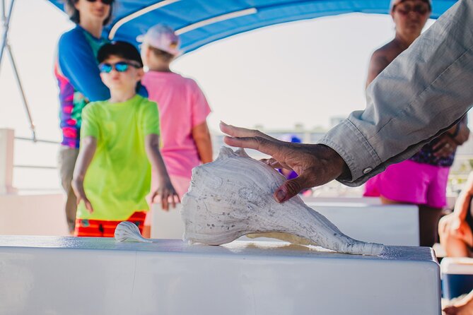Dolphin Wildlife Cruise Fort Myers Beach - Analyzing the Value