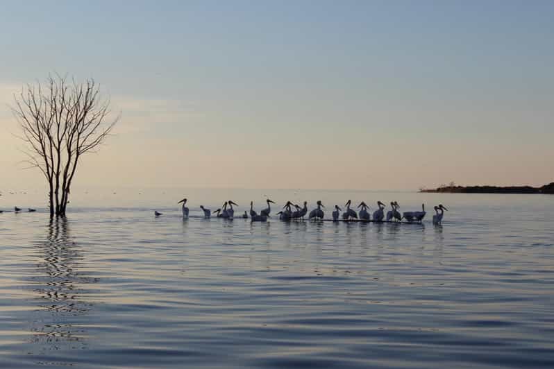 Door County Historic Cottage Row & Strawberry Islands Cruise - Exploring the Itinerary: What to Expect