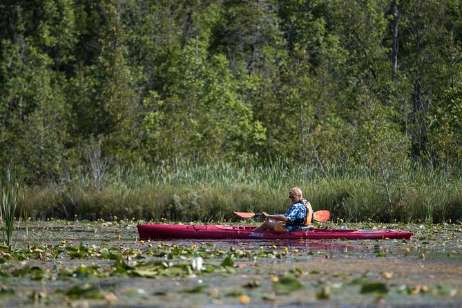 Door County Wetlands Kayak Tour - Quick Introduction