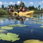 Door County Wetlands Kayak Tour - Why This Tour Offers Good Value