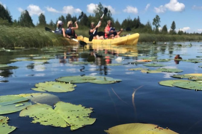 Door County Wetlands Kayak Tour - Why This Tour Offers Good Value