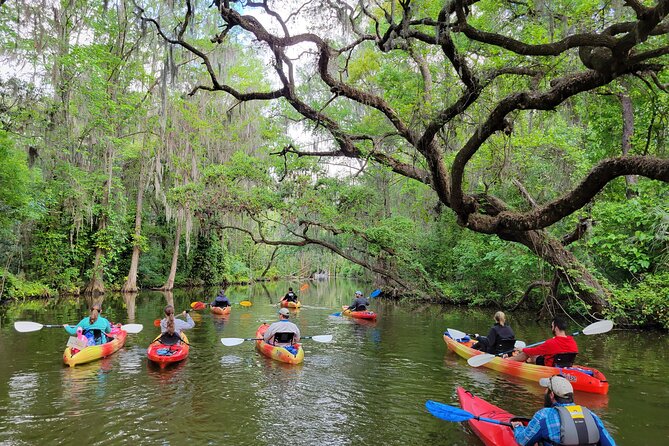 Dora Canal Half-Day Kayak and Paddle Board Rental Adventure - Exploring the Dora Canal Half-Day Kayak and Paddle Board Rental Adventure